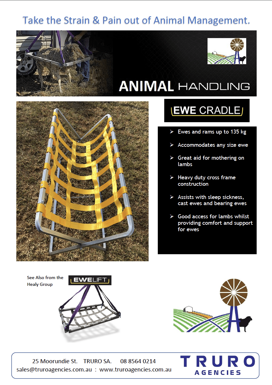 Promotions - Truro Agencies